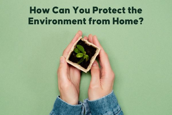 How Can You Protect the Environment from Home?