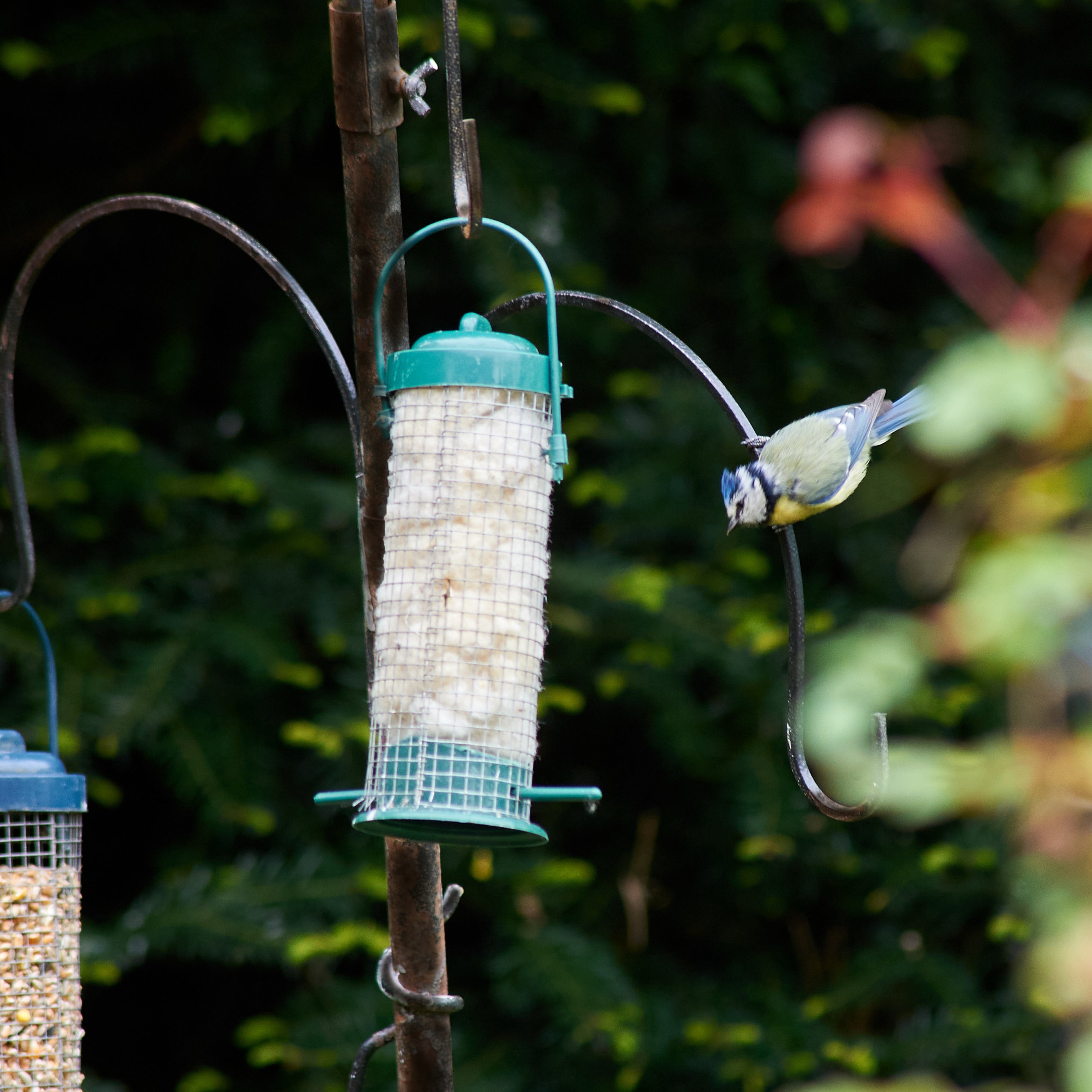 Wool Bird Nesting Material