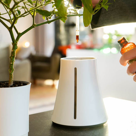 Planters | Shop Our Garden Planters Range & Accessories | EvenGreener