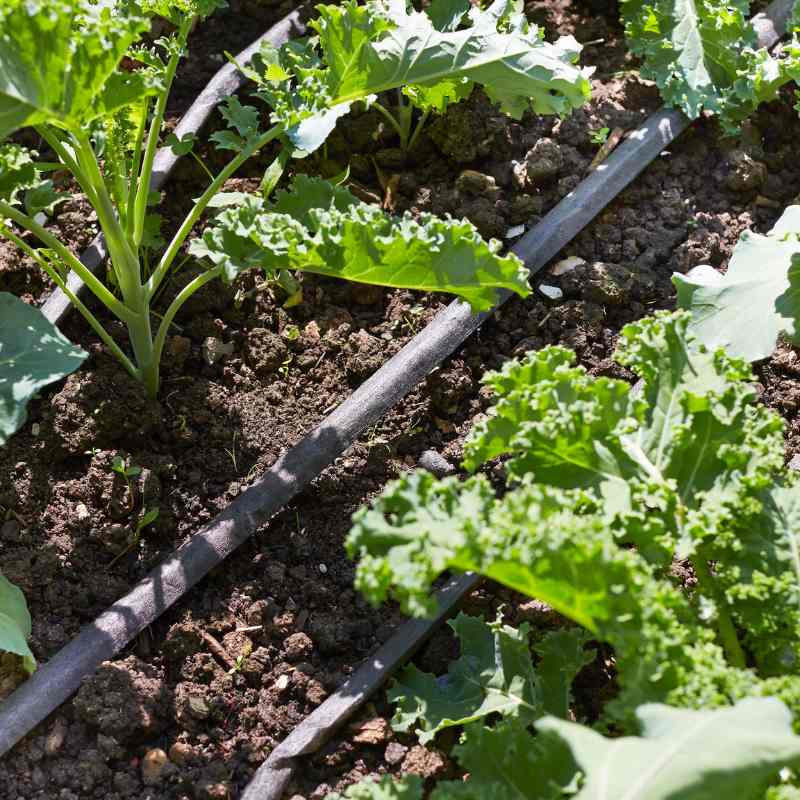 Irrigatia Fully Automated Solar-Powered C24 Garden Irrigation System