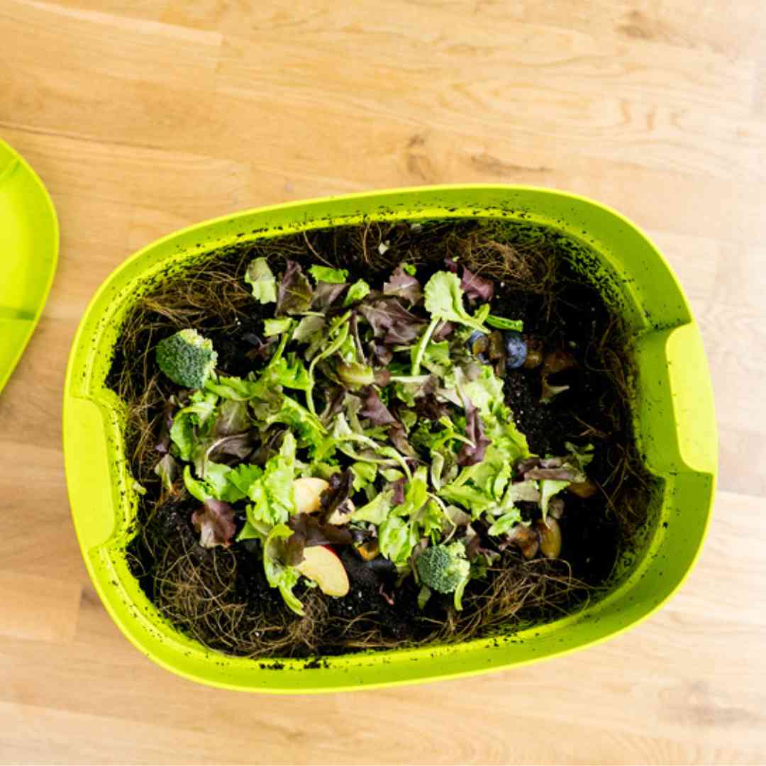 Urbalive 20L Litre Wormery [Lime Green] | 20L Worm Farm Composter Kits